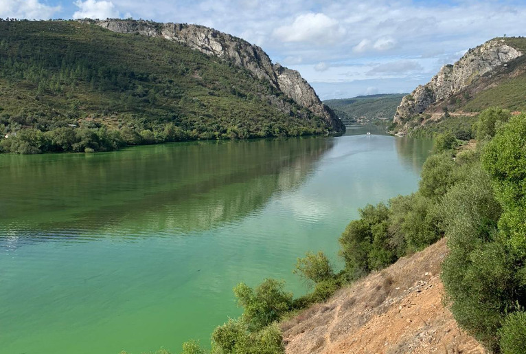 Água do rio Tejo está verde — Plataforma Media