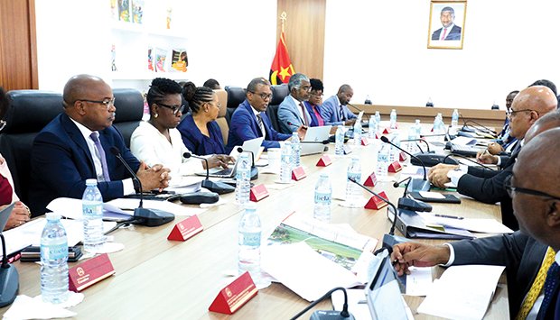 Metro de Superfície vai passar pelas zonas de maior densidade ...